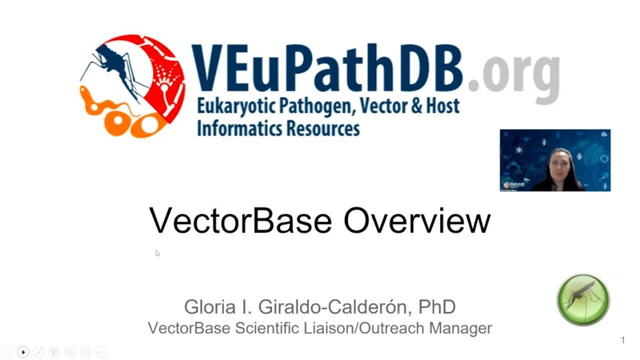 Vectorbase Overview Youtube