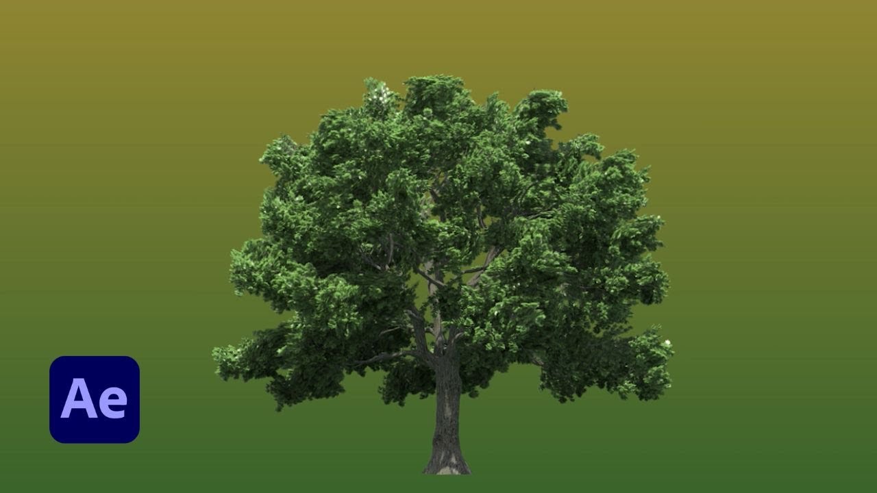 Moving Tree Animation Adobe Aftereffects After Effects And