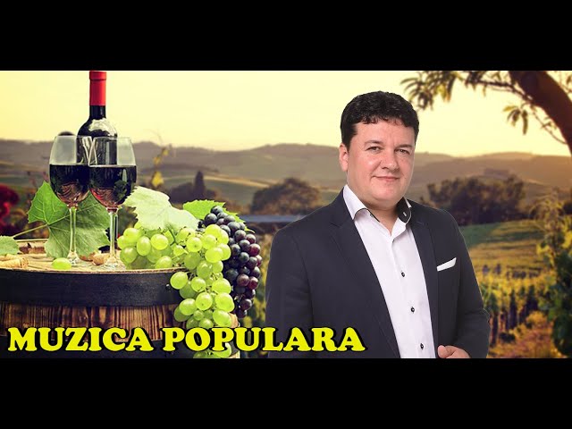 Nicu Albu Denisa Baciu Muzica populara de petrecere colaj