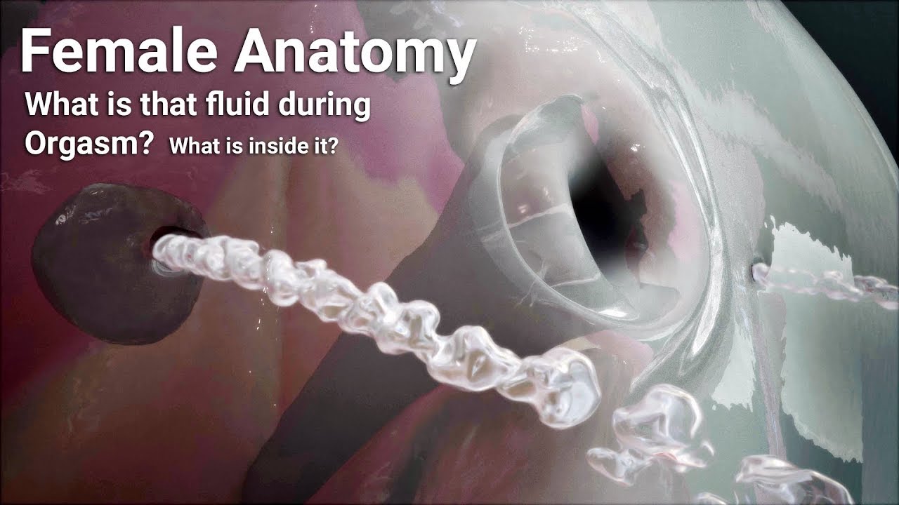 Female Anatomy What Is The Fluid During Orgasm Exploring The Female