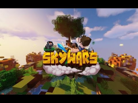 The Perfect Skywars Game Youtube