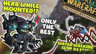 Hands Down The Best Mounts In Mists Of Pandaria Classic Mop Classic ...