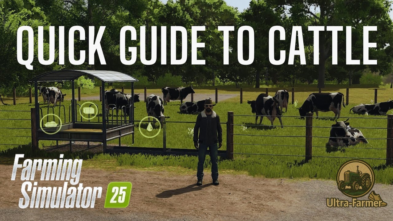 Quick Guide To Cattle Farming Simulator 25 Tutorial Youtube