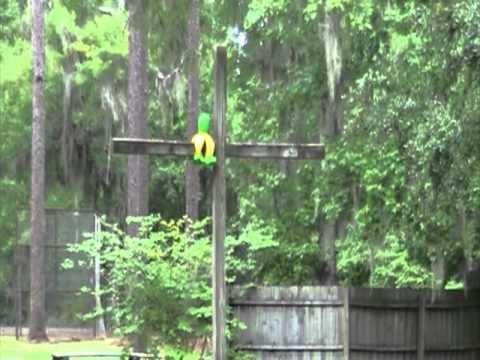 Mov022 Youtube