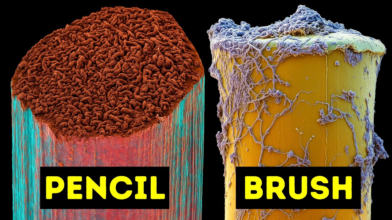 Daily Items Under Electron Microscope Hd Youtube