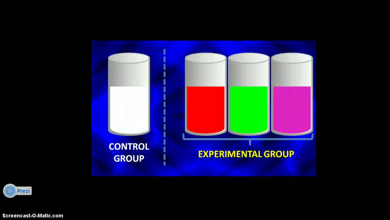 Control Science Experiment