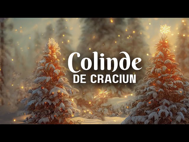 Colinde Minunate Colaj 2023 COLINDE PENTRU CRACIUN