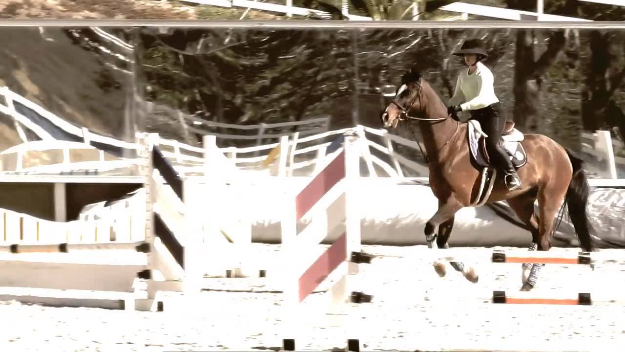 Timber Youtube