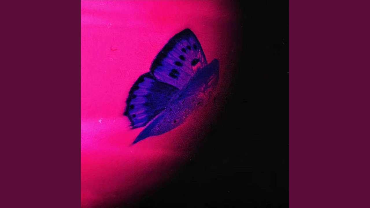 Butterfly Youtube