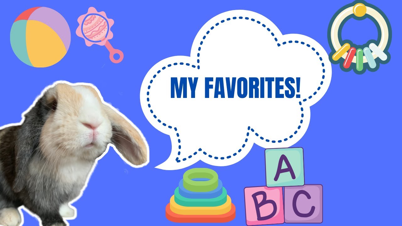 Favorite Rabbit Supplies Heidi Youtube