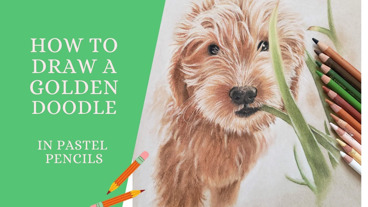 How To Draw A Goldendoodle Puppy Step By Step