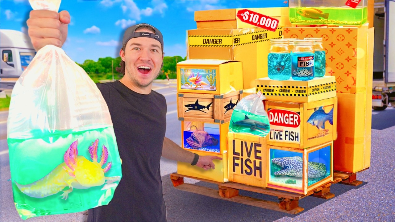 I Bought Every Live Fish Mystery Box What S Inside Youtube