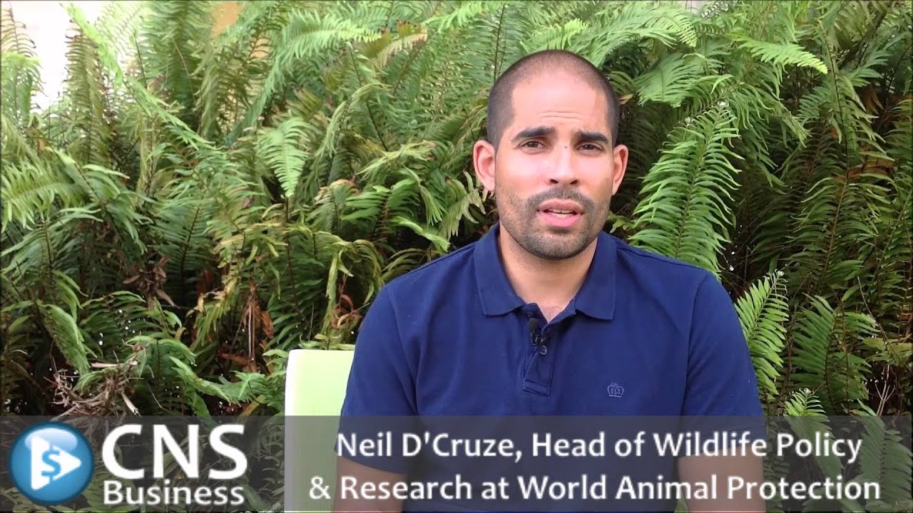 Neil D Cruze Wap Works All Over The World Youtube