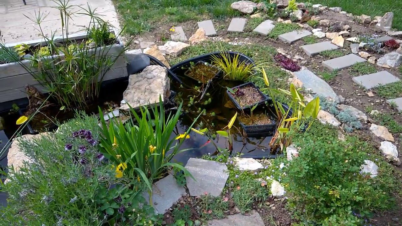 Pond Overview Spring 2016 Youtube