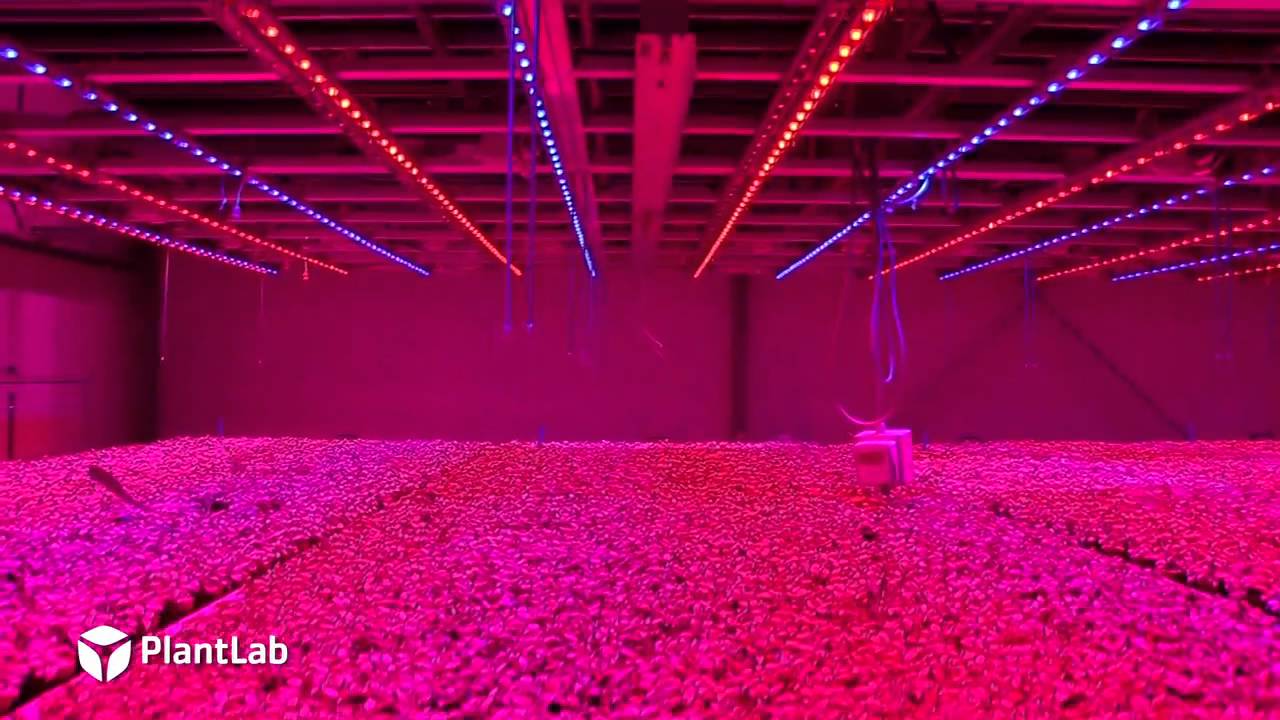 Plantlab Plant Production Unit Youtube