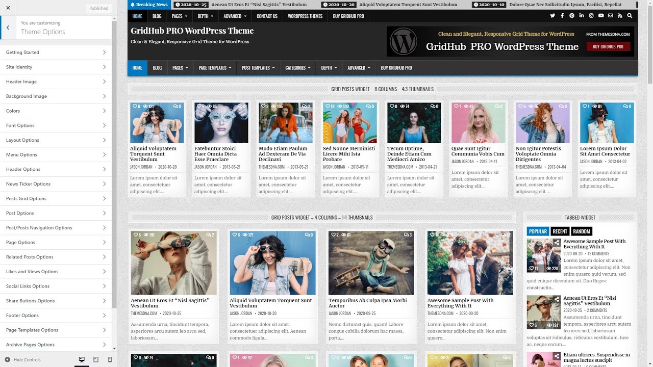 Customizer Theme Options Gridhub Pro Wordpress Theme Youtube