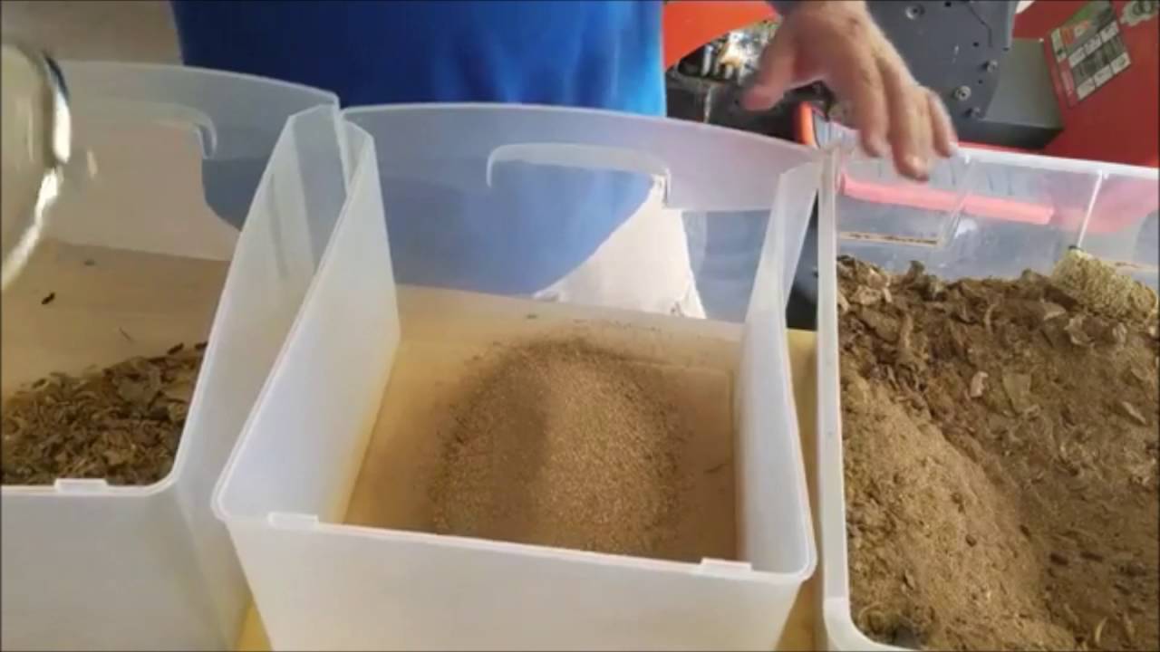 Make Money Breeding And Selling Mealworms And Feed Your Reptiles Too