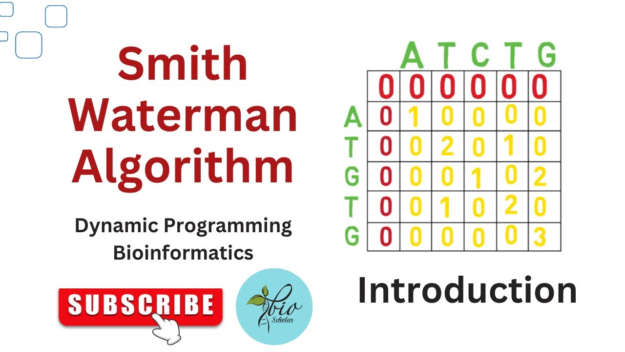 Smith Waterman Algorithm For Local Alignment Dynamic Programming