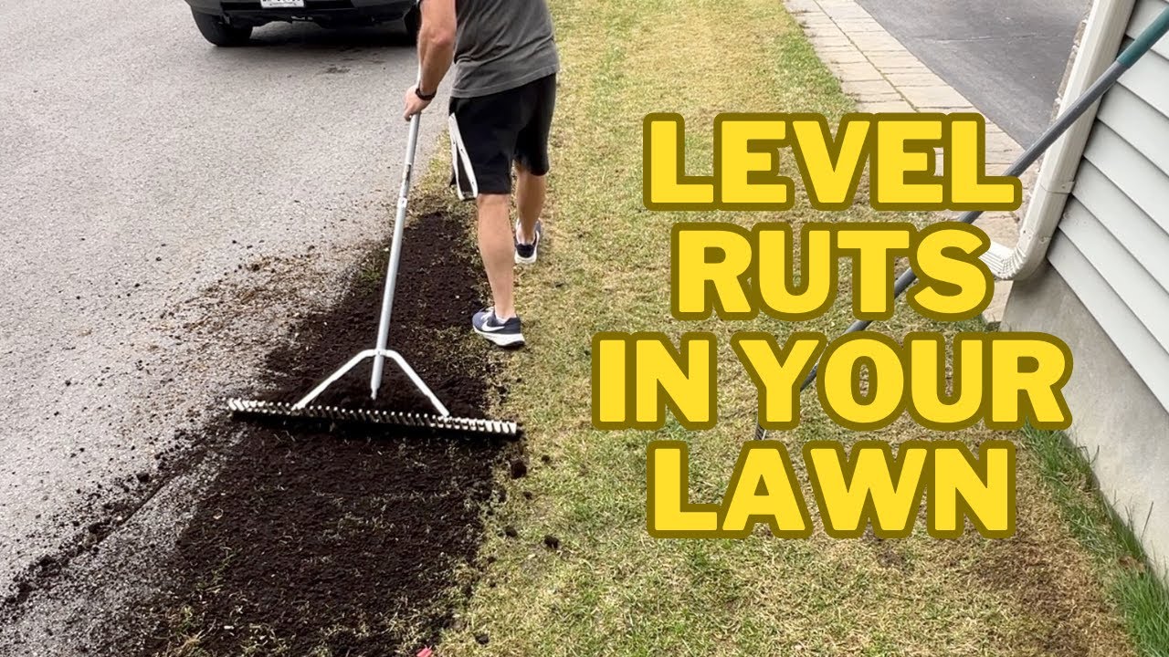 How To Fix And Level Tire Ruts In Your Lawn Youtube