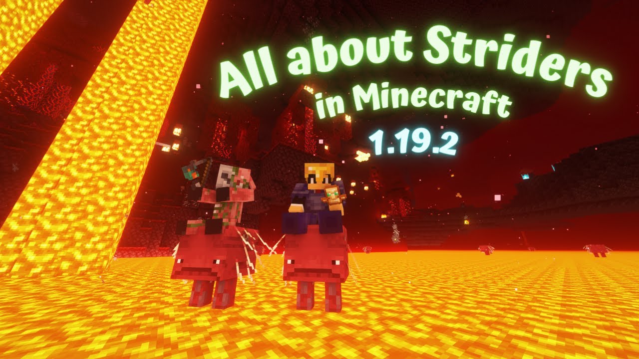 All About Striders In Minecraft Youtube