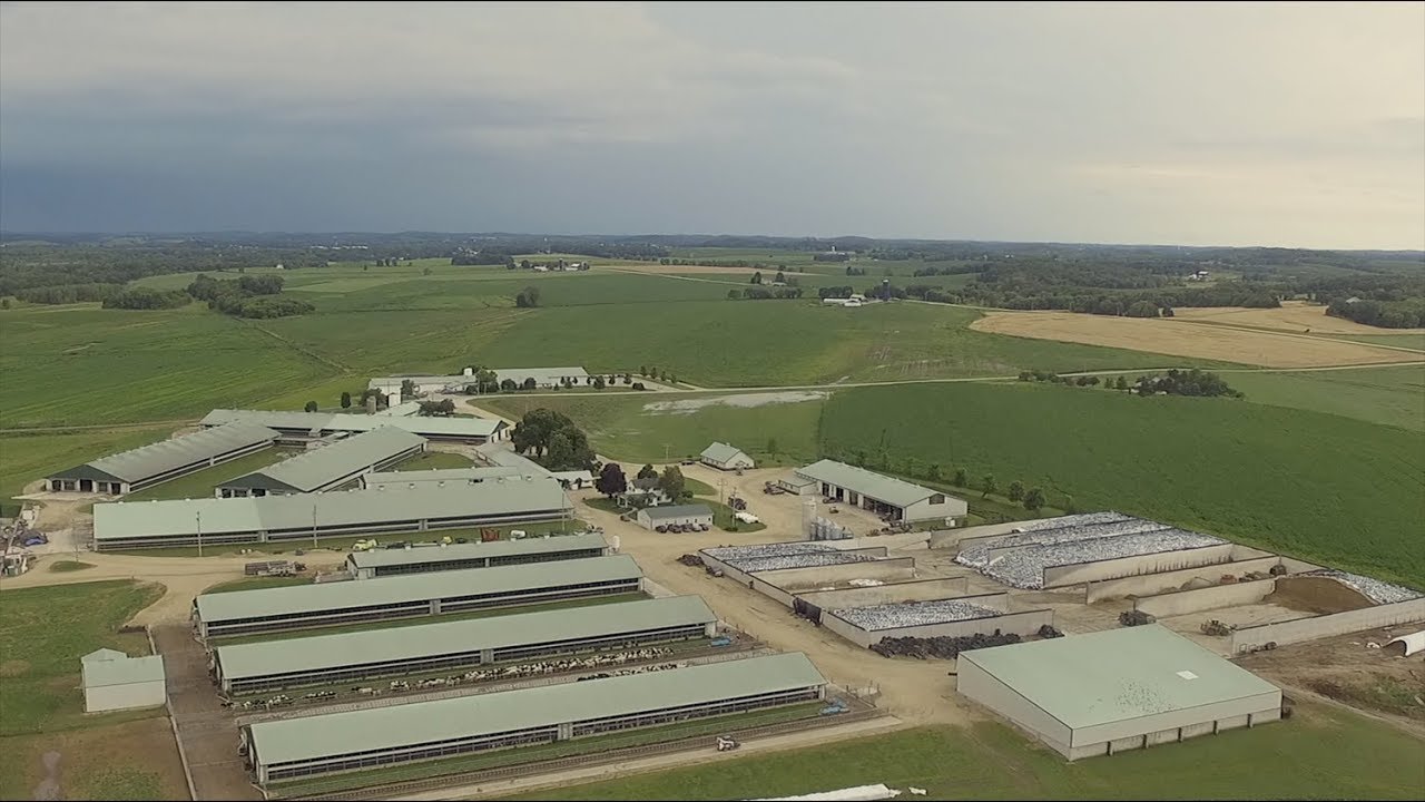 Holstein America February 2018 Youtube