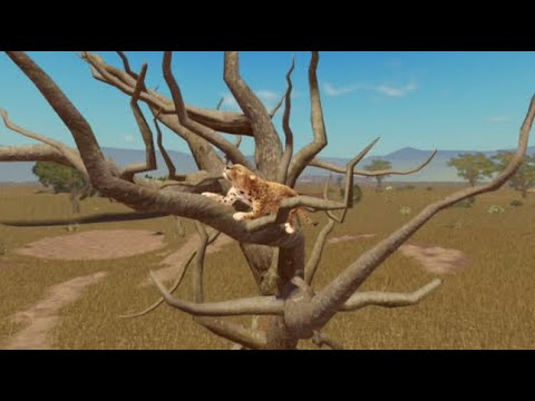 New Leopard Update In Savannah Life Roblox Youtube