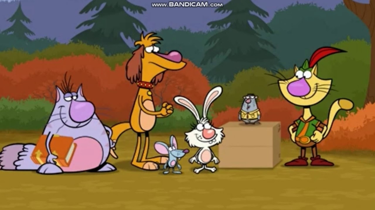 Nature Cat Total Eclipse Of The Sun Part 1 Youtube