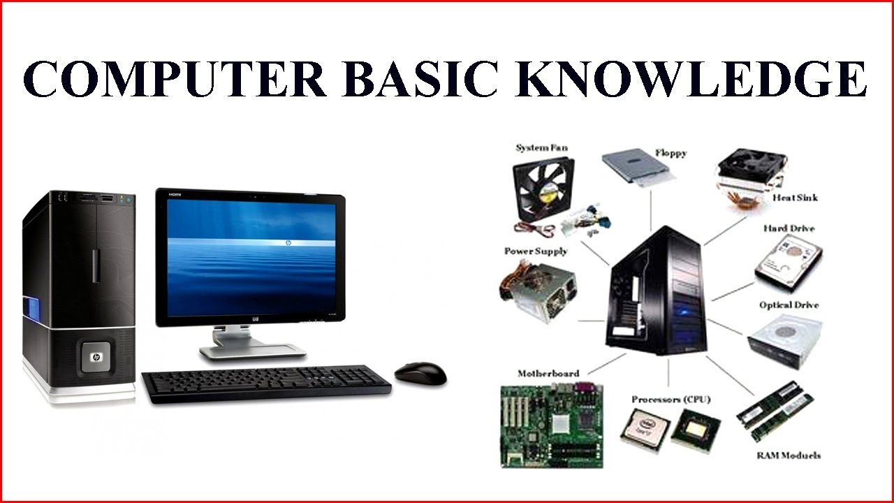 Basics Of Computer 200 Most Useful Computer Terms For Beginners