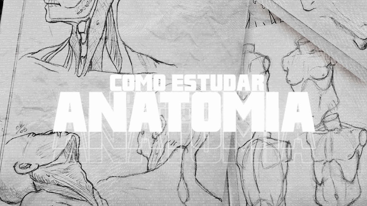 Como Estudar Anatomia Desenho Retoedu