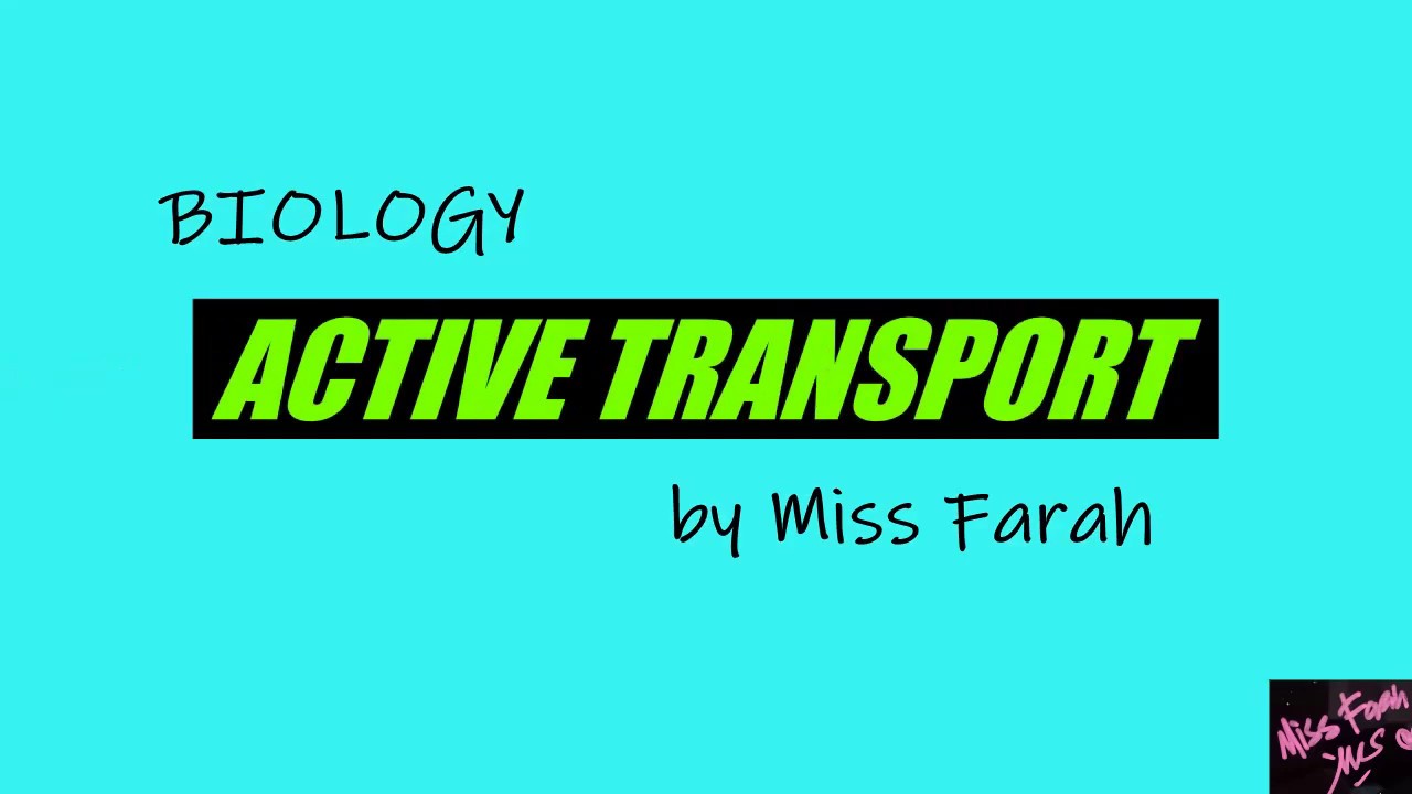 Active Transport Simple Explanation Youtube
