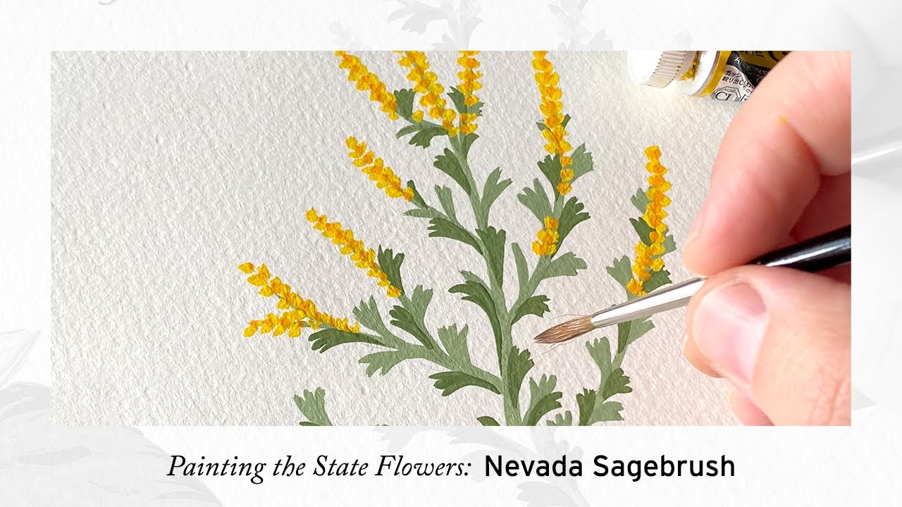Painting Sagebrush рџћё Nevada State Flower вђў Gouache Art Youtube