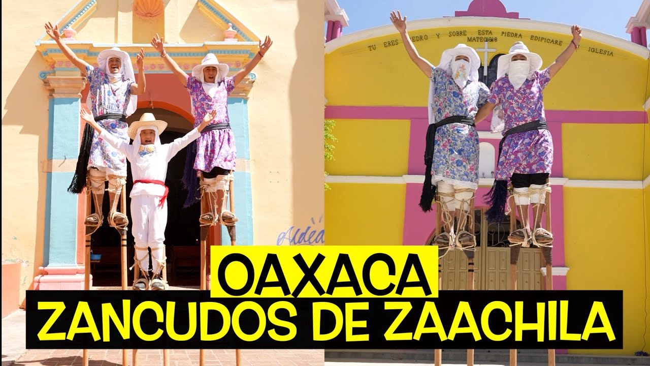 Los Zancudos De Zaachila Oaxaca Youtube