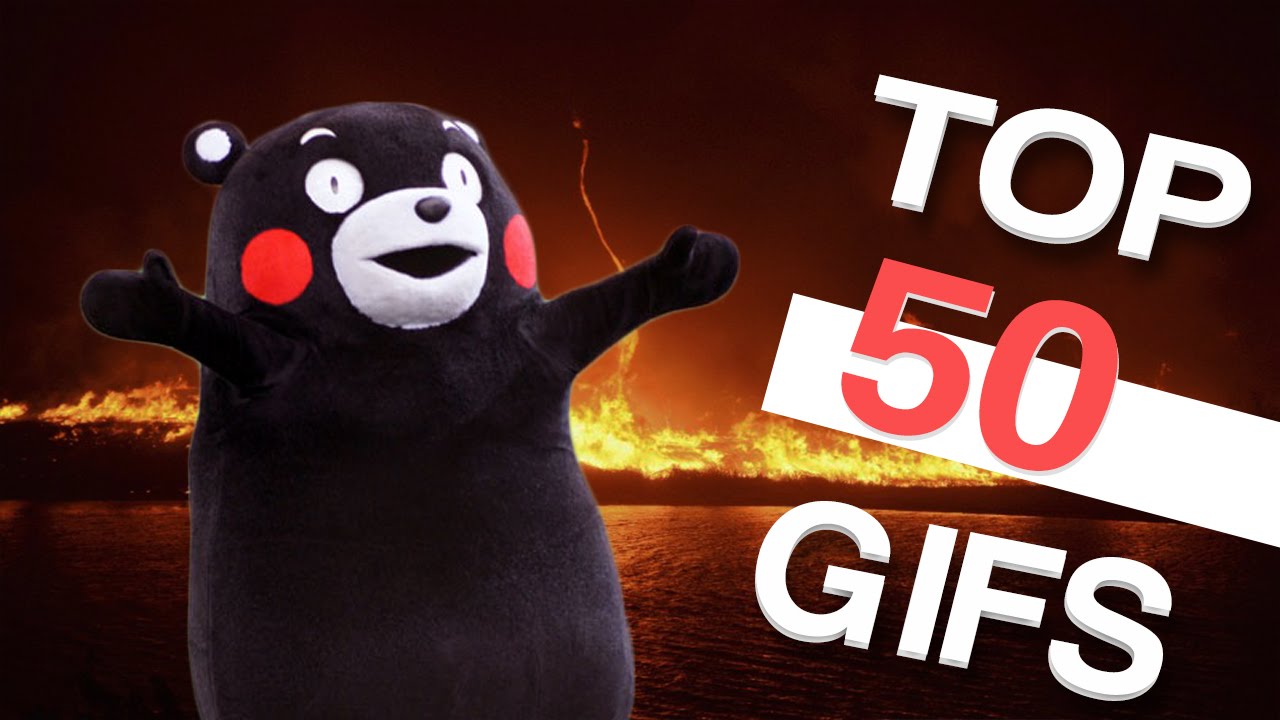 50 Funniest Gifs Of All Time Youtube