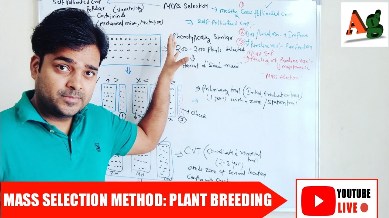 What Is Mass Selection In Plant Breeding At Kathleen Lawson Blog