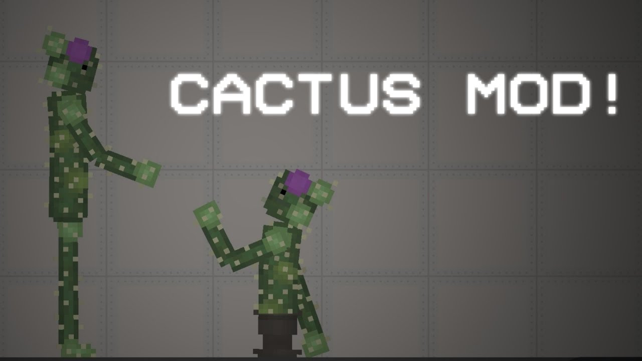 Melon Playground Cactus At Joyce Haynes Blog