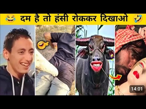 ёяшвnon Stop Funny Memes ёяшж Laugh Challenge Youtube