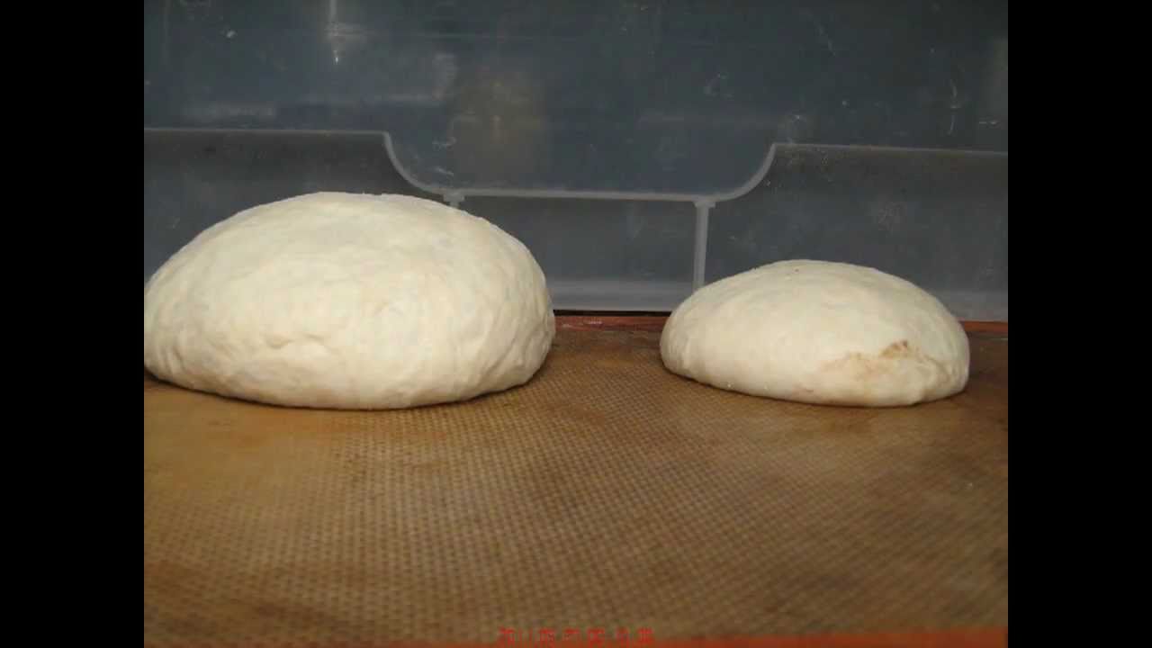 Yeast Experiment 3 Youtube