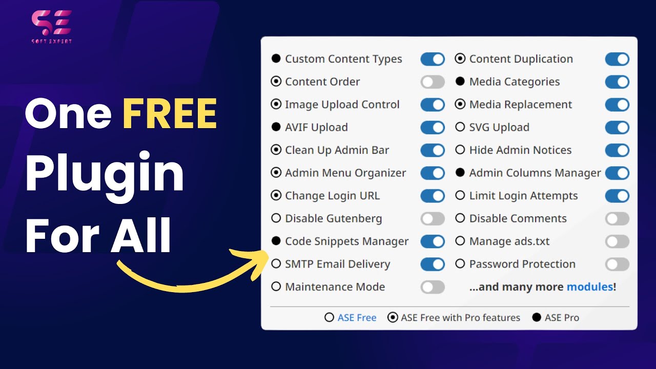 This Free Plugin Will Replace 20 Other Plugins Ase Wordpress Plugin
