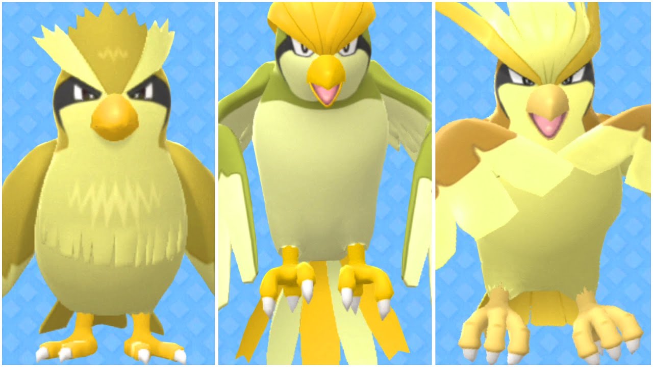 Full Pidgey Evolution Team Shiny Pidgey Shiny Pidgeotto Shiny