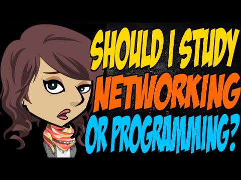 Should I Study Networking Or Programming