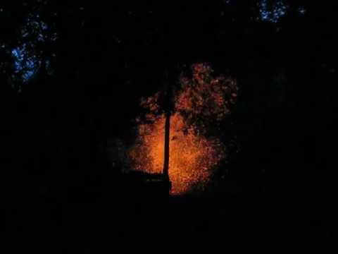 Exploding Cedar Tree Youtube