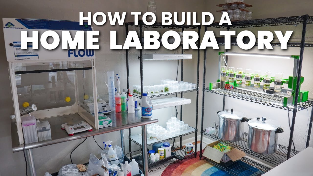 Setting Up Plant Tissue Culture Laboratory