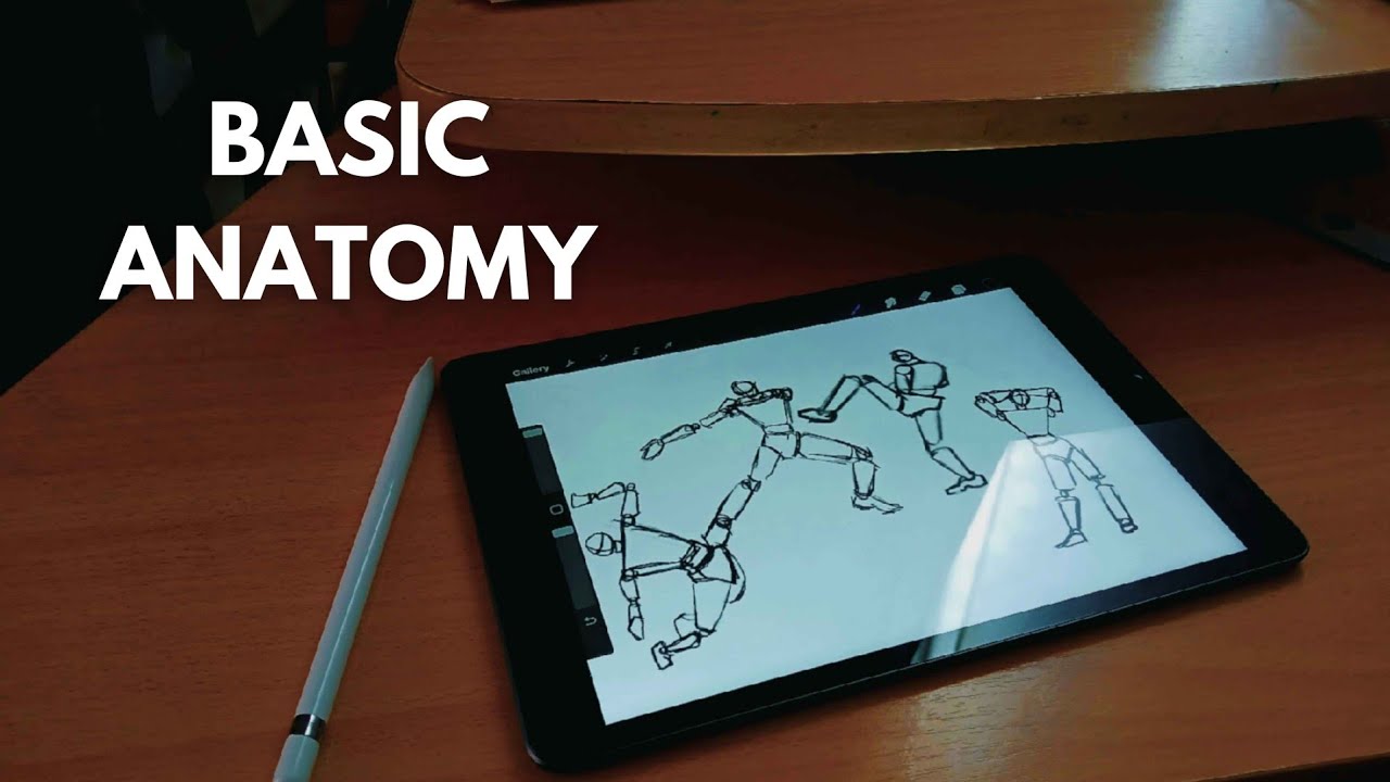 Basic Anatomy Drawings Part 5 Youtube