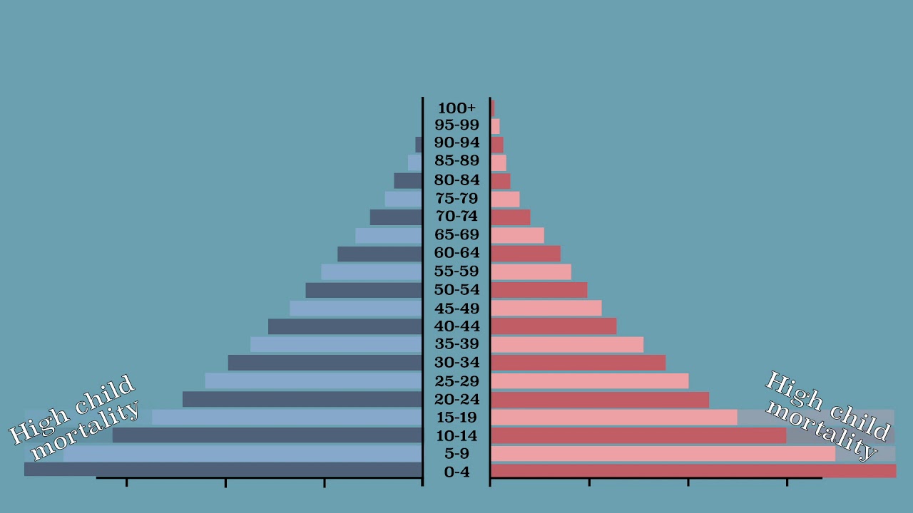 How To Use Population Pyramids Youtube