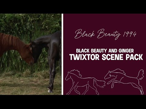 Black Beauty And Ginger Black Beauty 1994 Twixtor Scenepack With
