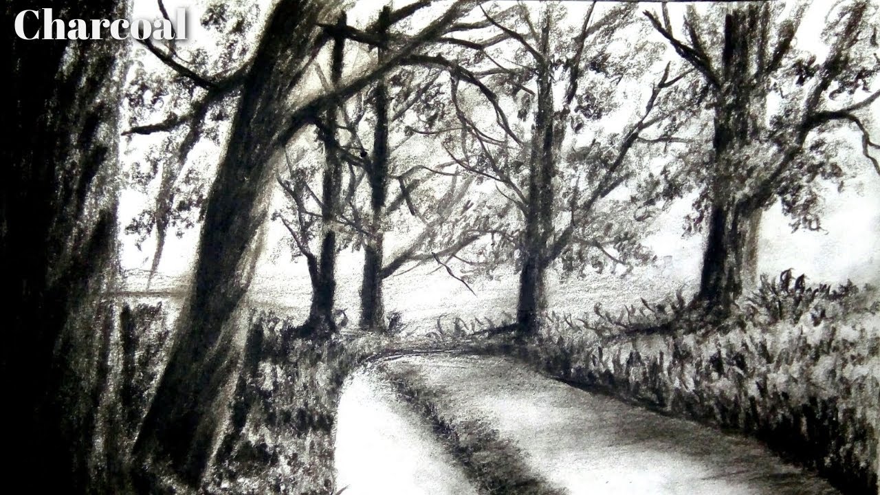 Charcoal Pencil Drawing Tutorial Learn The Basics And Create Stunning