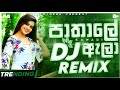 ප ත ල ඇල Dj Pathale Ala 2025 New Song Ap Gamung Live Mp3 Music & Mp4 ...