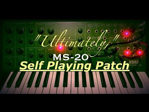 Korg Ms 20 Ultimately Self Playing Patch Youtube
