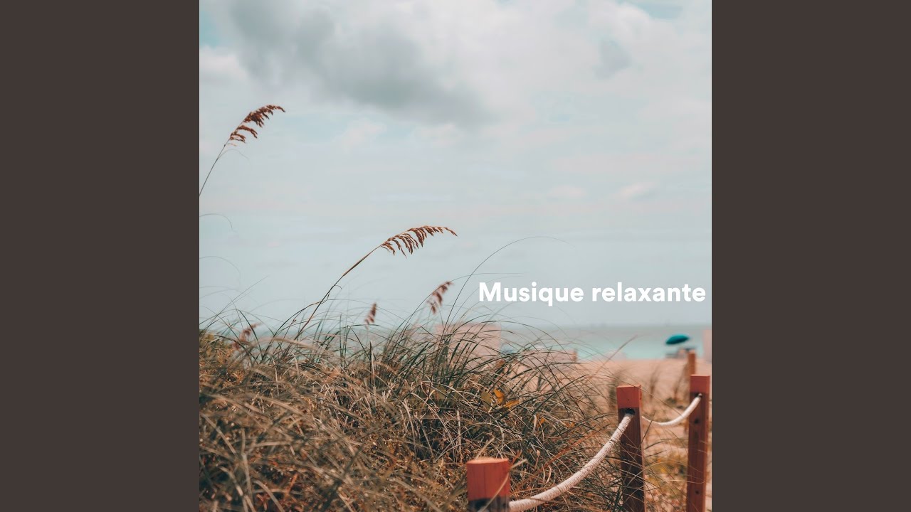 Thinking Youtube Music