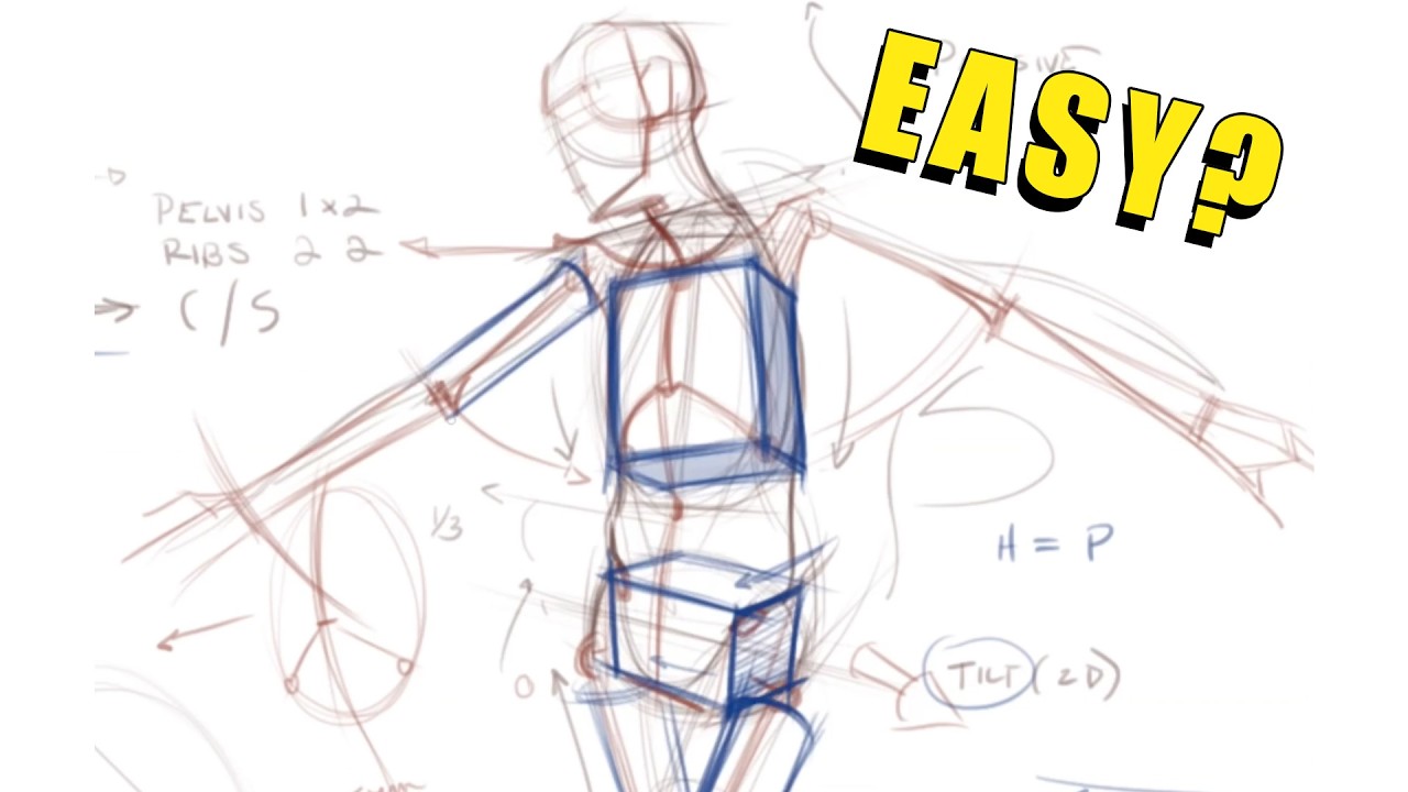 Step By Step Figure Construction Youtube